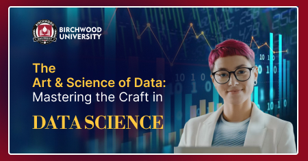 The Art and Science of Data: Mastering the Craft in Data Science ...