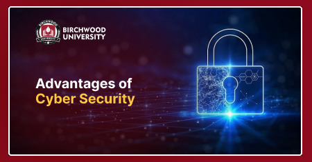 What are the advantages of Cyber Security